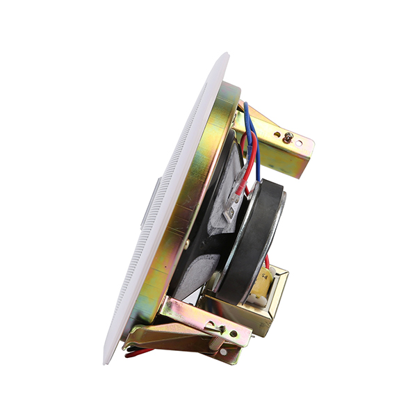 Cheap 1.5W-10W ABS Ceiling Speaker For Sale, Buy Best Ceiling Speaker