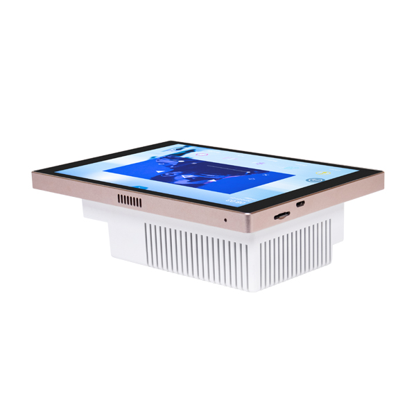 DM868 8'' Dual-Zone Stereo Music Amplifier - Guangzhou DSPPA Audio Co ...